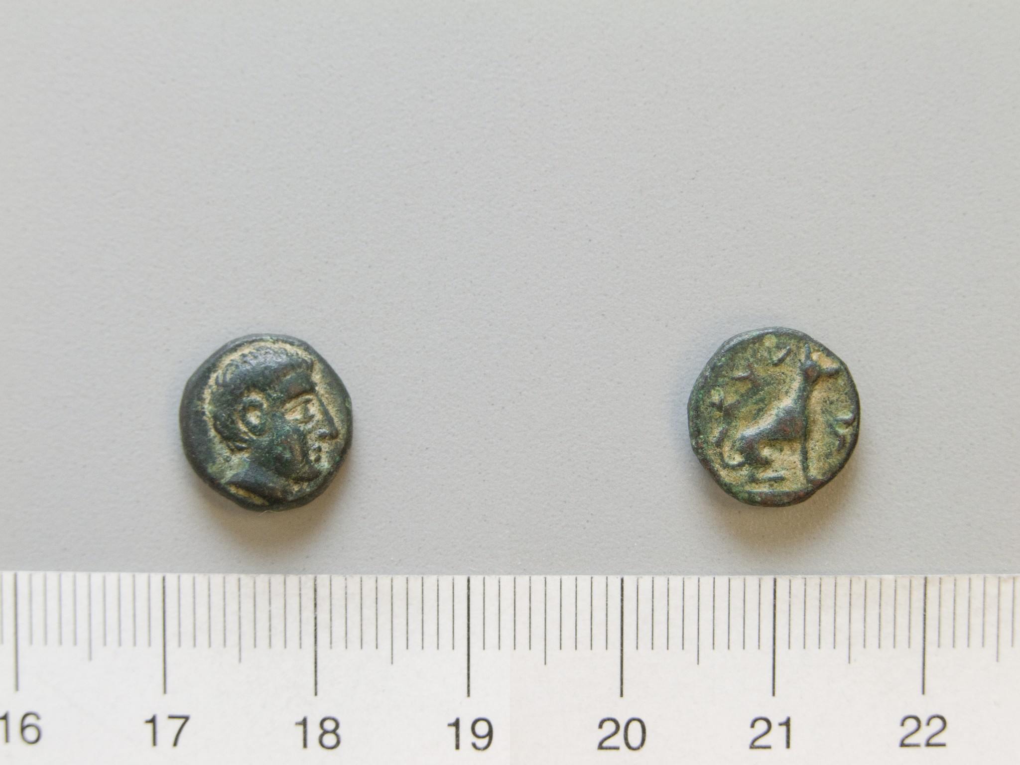 Cydonia – The Ancient City of Crete